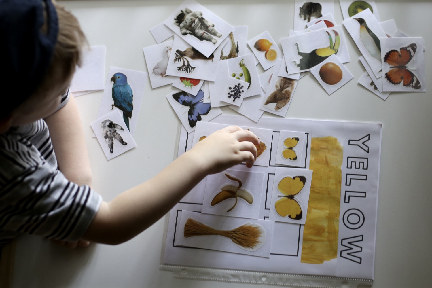 Home Preschool: The Letter E - HOLLY YINGER